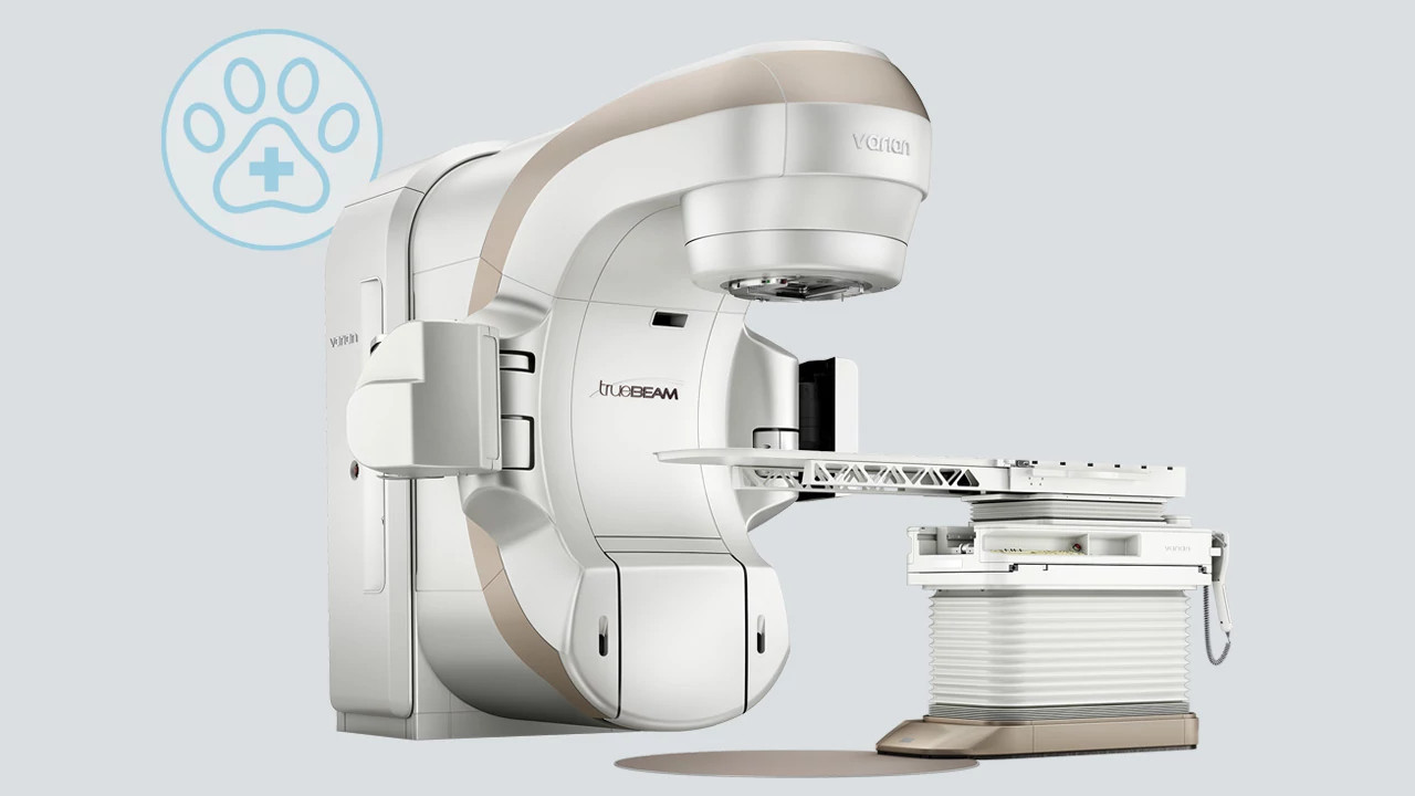 Veterinary Oncology | Varian